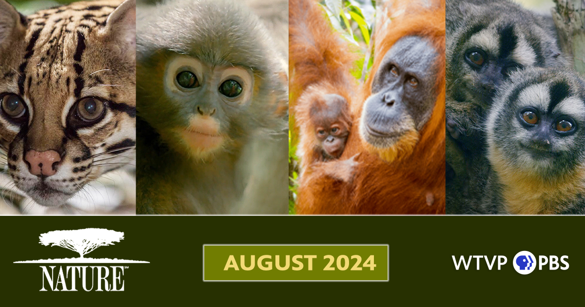 Nature | August 2024