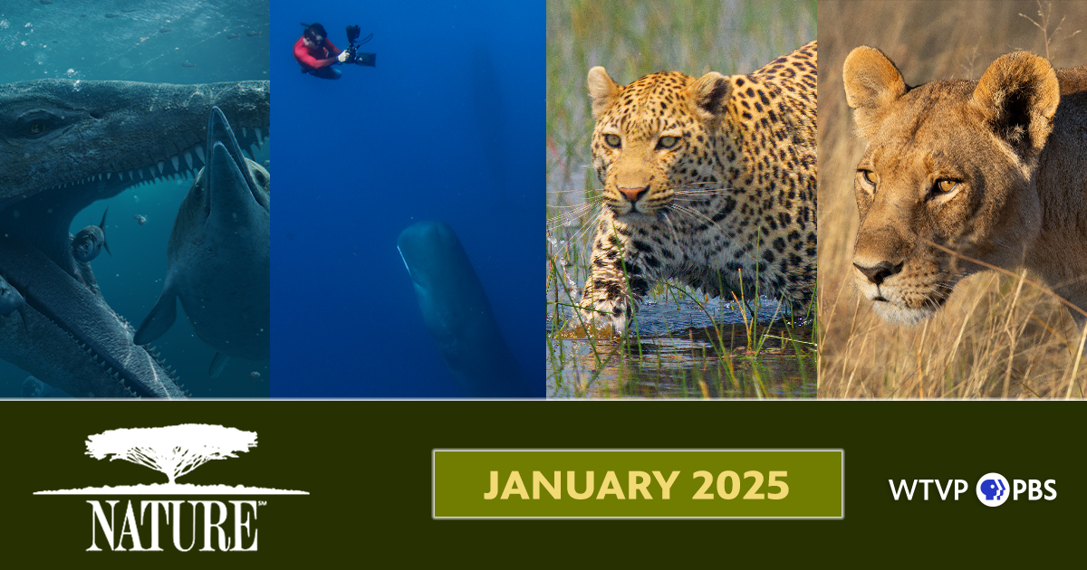 Nature | January 2025