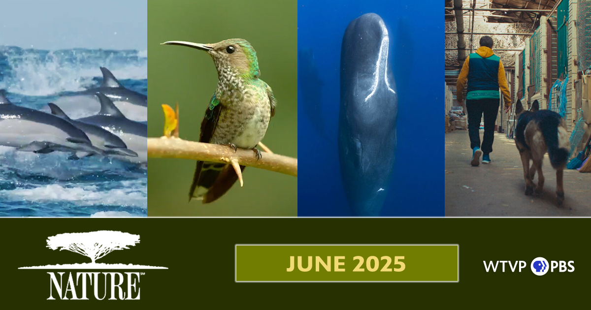 Nature | June 2025