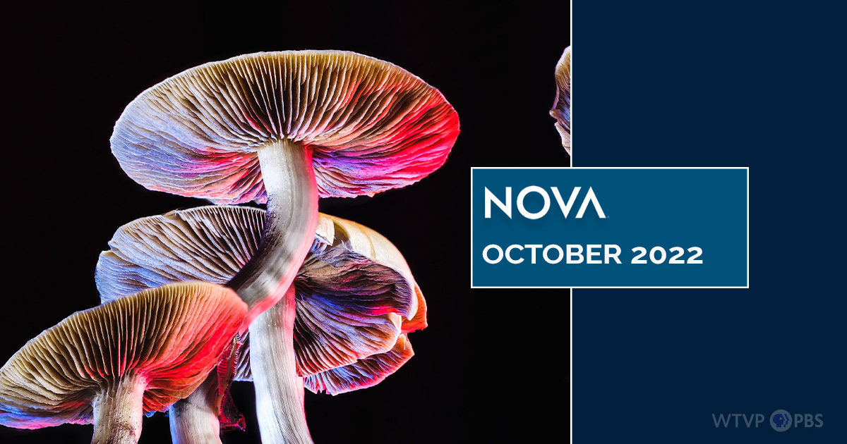 NOVA - October 2022