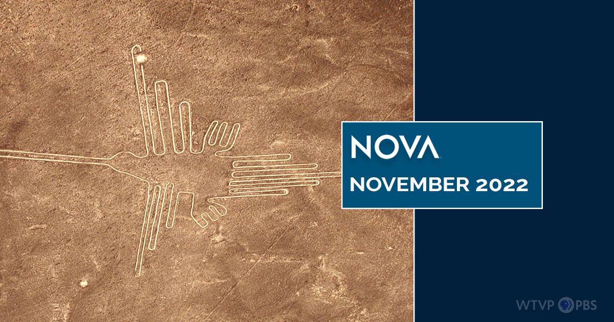 NOVA - Nov 2022