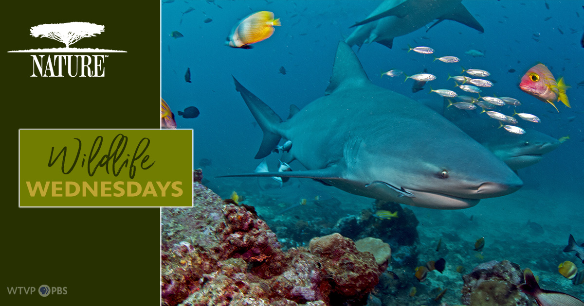 Nature | August 2023